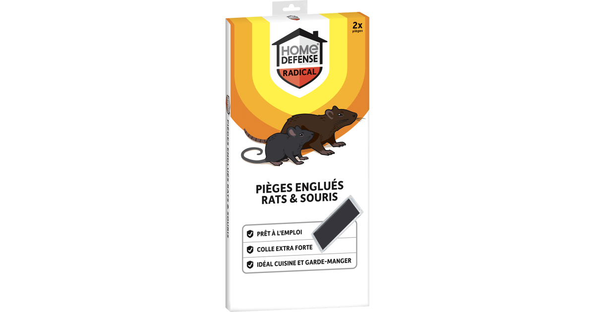 HOME DEFENSE® Pièges à glu rats et souris, 2 pièges | Home Defense